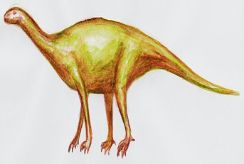 Lessemsaurus dinosaurs , facts | pictures -Lessemsaurus habitat.