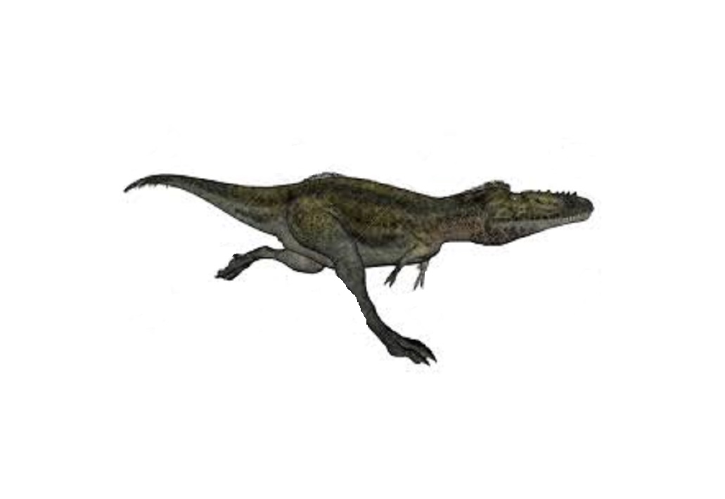 Alioramus dinosaurs , facts | pictures -Alioramus dinosaurs habitat.