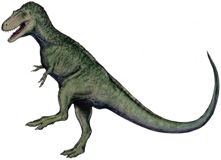 Appalachiosaurus dinosaurs , facts | pictures -Appalachiosaurus ...